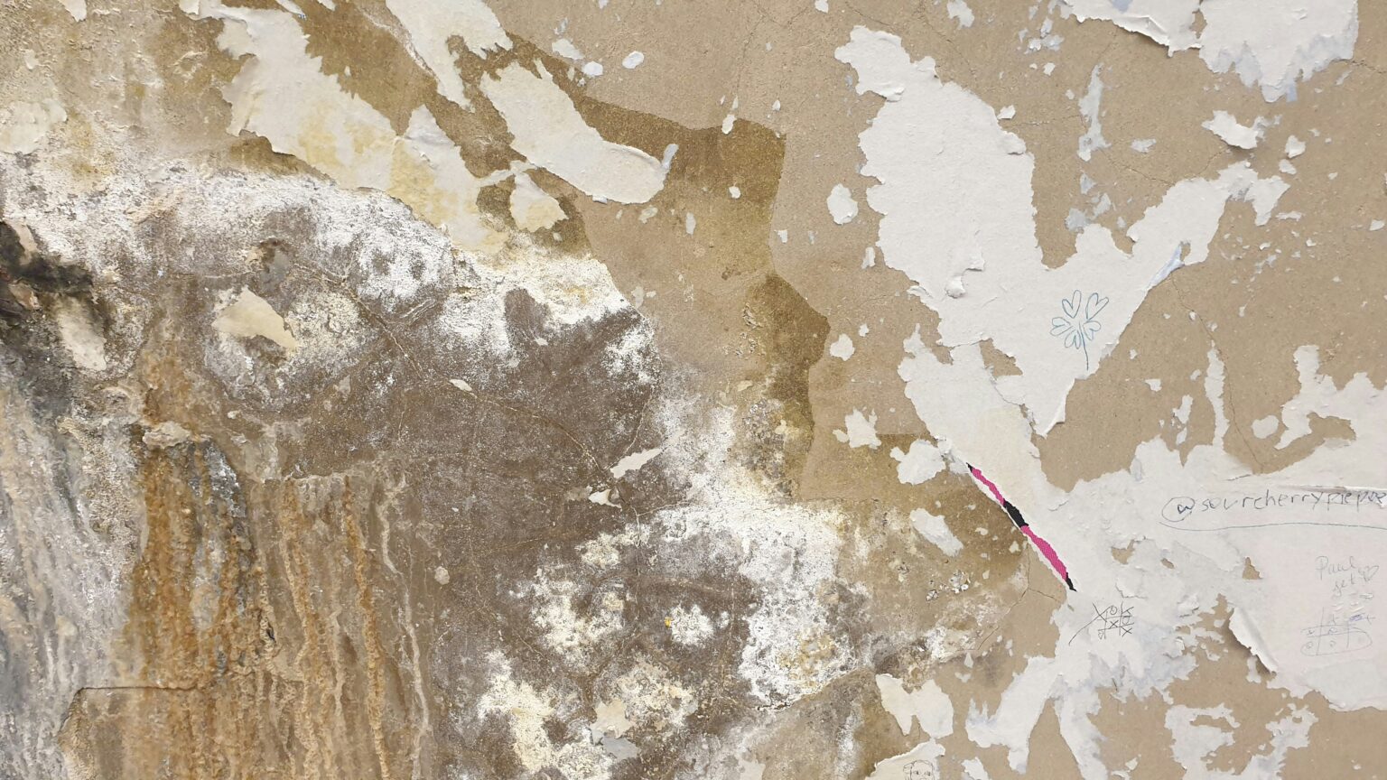 Damp Proof Certificate: What is it & When You Might Need One - Property ...